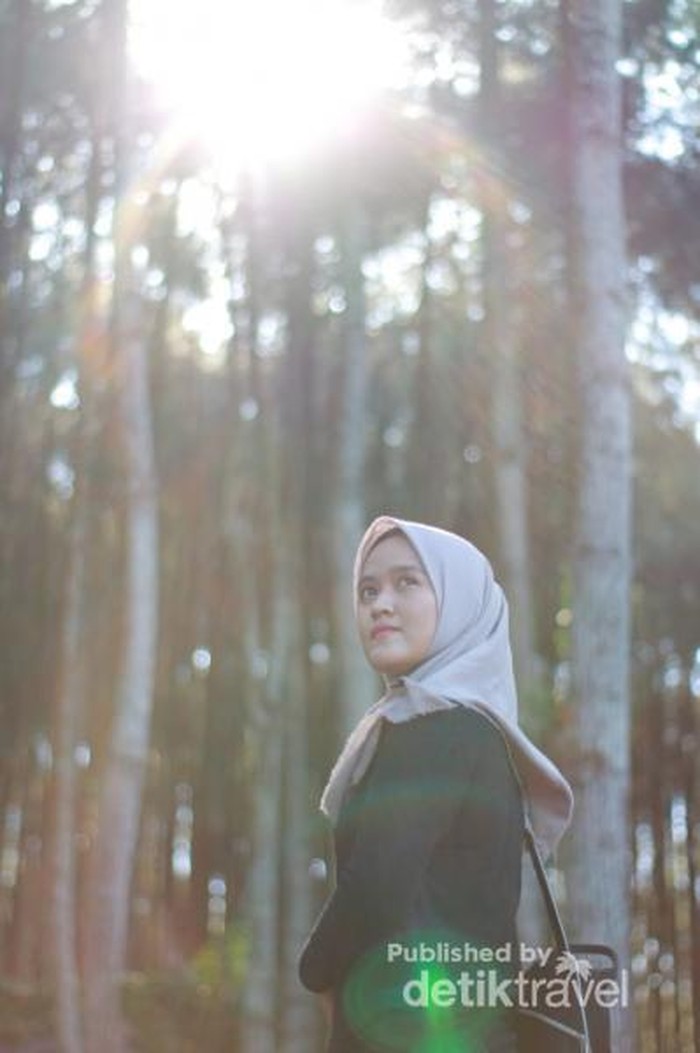 Pesona Bukit Mangunan, Menikmati Negeri di Atas Awan