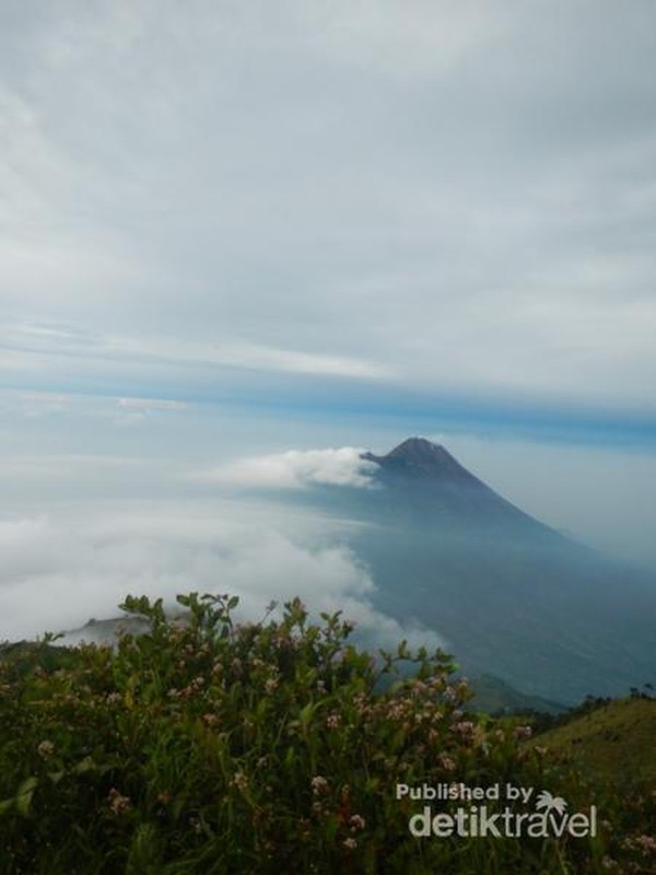 Petualangan Mendaki Gunung Merbabu Lewat Jalur Selo