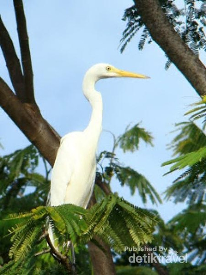 Pulau Gebe, Si Eksotis dari Maluku Utara
