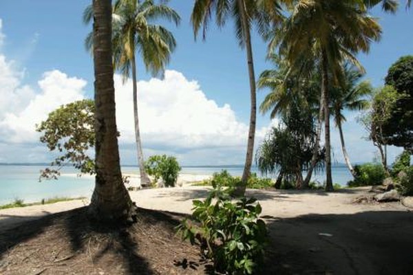 Pulau Matan, Seakan Pulau Pribadi di Papua Barat