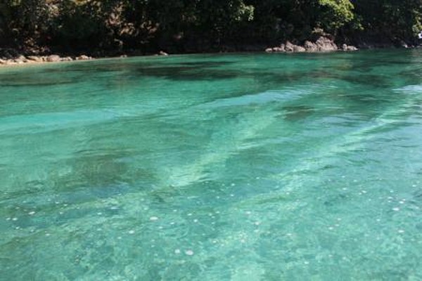 Pulau Matan, Seakan Pulau Pribadi di Papua Barat
