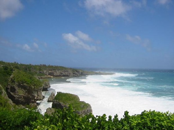 Pulau Paling Sehat di Dunia Ada di Jepang