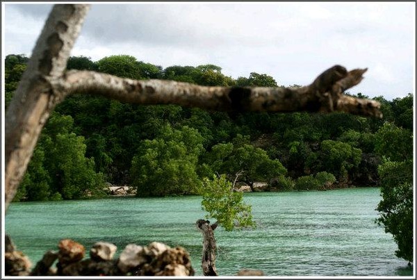 Pulau Rote Jadi Incaran Para Peselancar Dunia