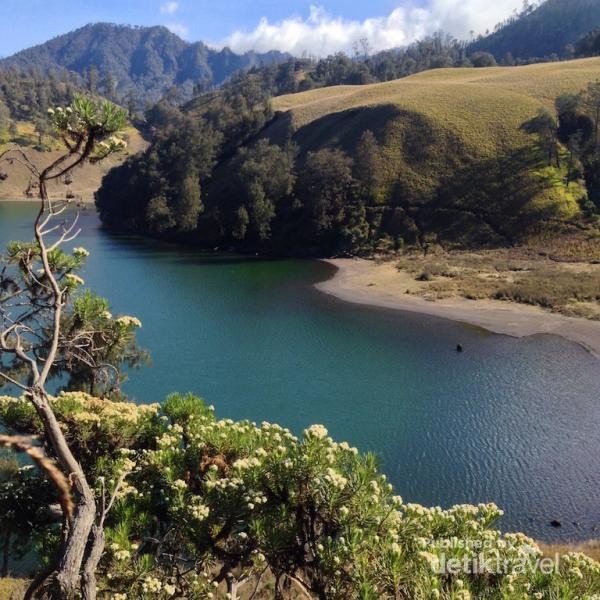 Ranu Kumbolo, Danau Suci di Semeru