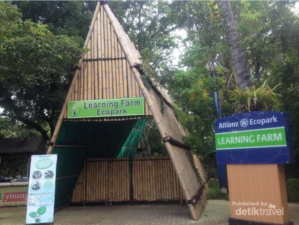 Saat Lebah Punya Rumah di Ecopark Ancol