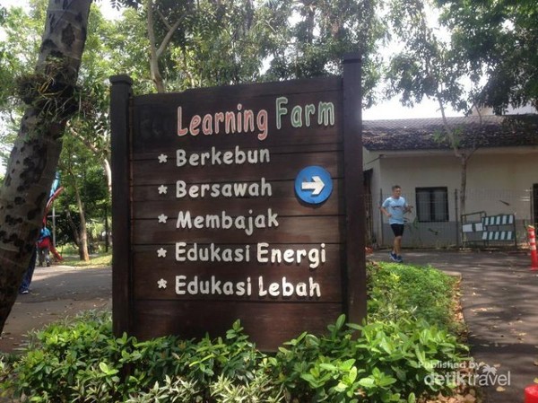 Saat Lebah Punya Rumah di Ecopark Ancol