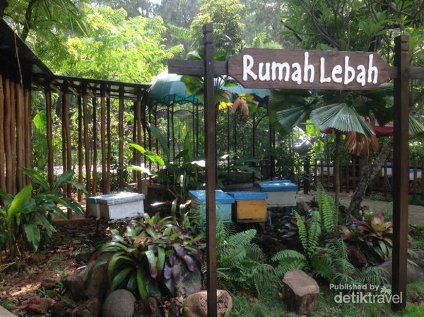 Saat Lebah Punya Rumah di Ecopark Ancol