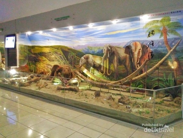 Sangiran Punya 5 Museum yang Bisa Kamu Kunjungi dalam Sehari