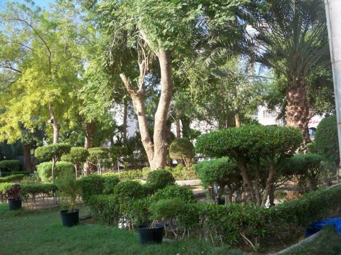 Saqifah Bani Saidah, Tempat Penting dalam Sejarah di Arab Saudi