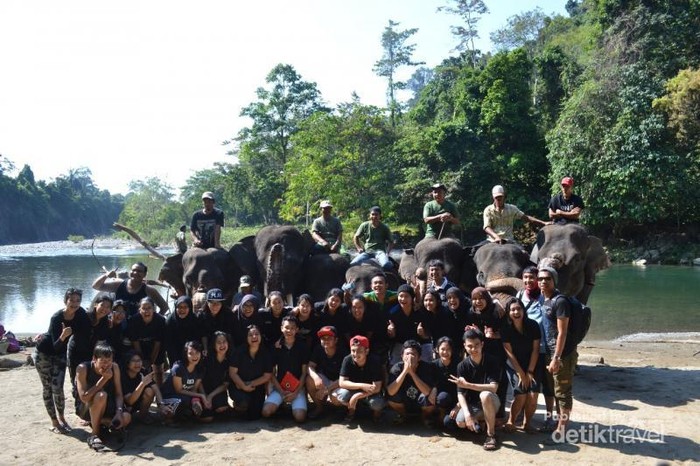 Serunya Memandikan Gajah di Langkat, Sumatera Utara
