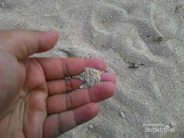 Ssst, Ini Pantai Cantik di Lombok Selain Senggigi