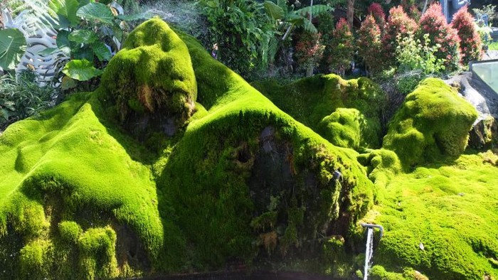 Taman Bunga Selecta dan Kisah Kejayaan Indonesia