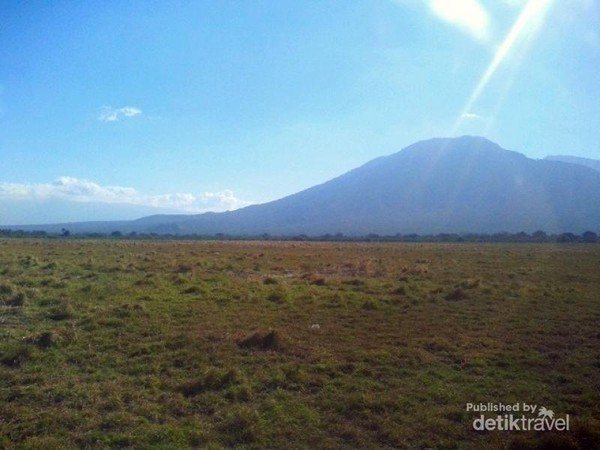 Taman Nasional Baluran, 'Afrika' dari Jawa Timur
