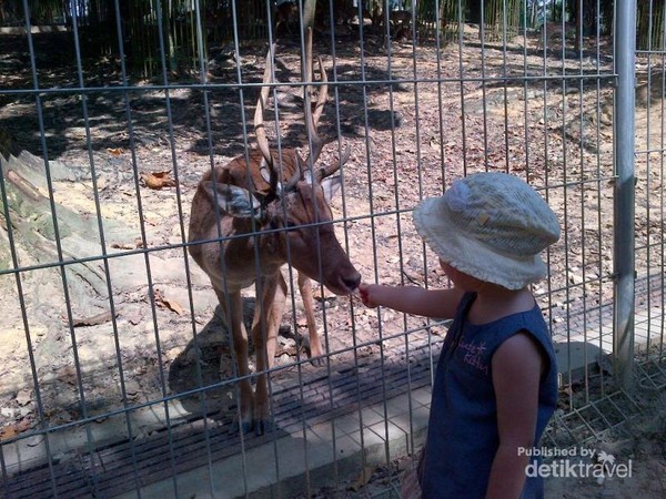 Tasik Perdana, Taman Super Cantik di Kuala Lumpur