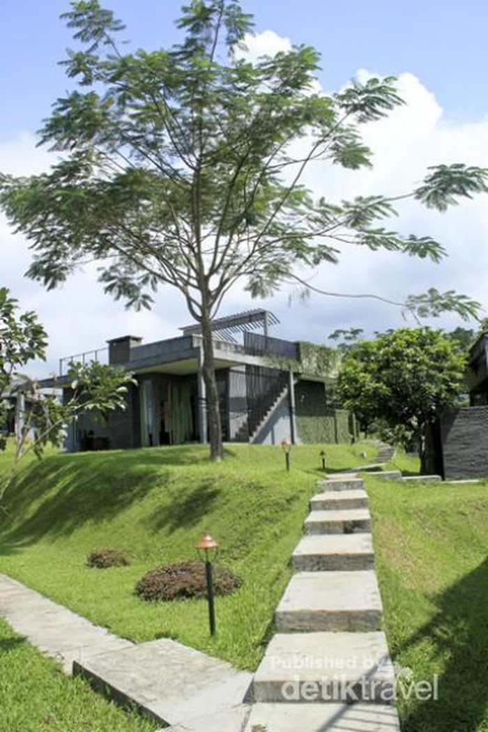 Tea Garden Resort, Destinasi Pelepas Stress yang Lagi Hit di Subang