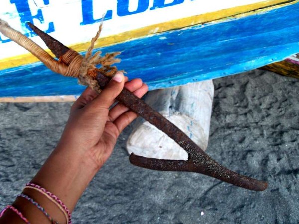 Tradisi Berburu Paus di Lamalera