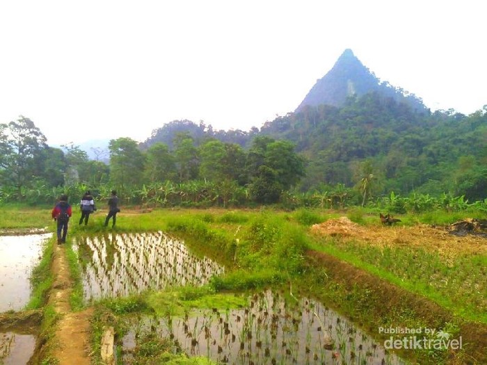 Treking Ceria ke Curug Cilalay di Perbatasan Bogor