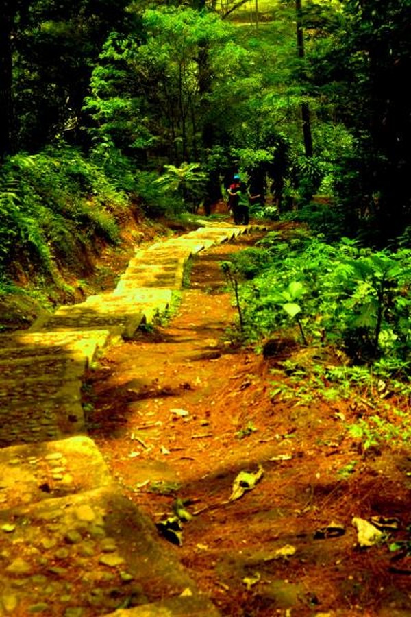 Weekend Asyik di Bandung, Jalan-jalan ke Taman Hutan Raya Djuanda