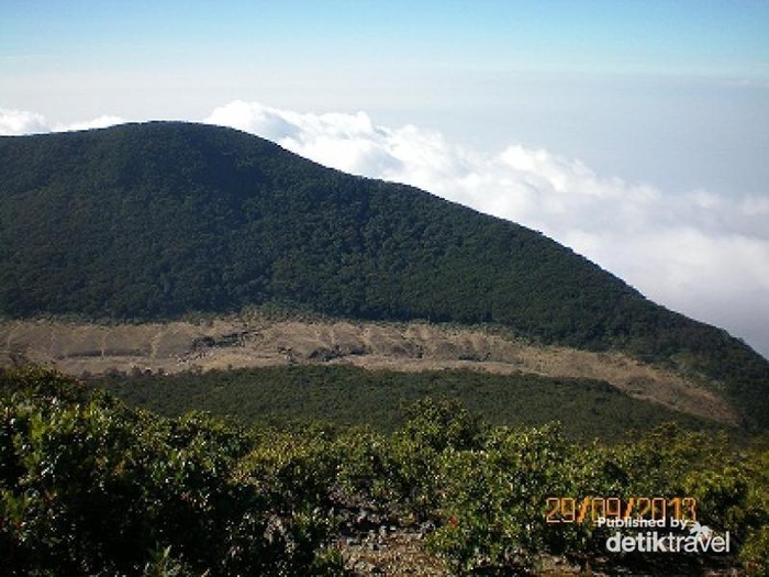 Weekend Ini, yuk Mendaki Gunung Gede!