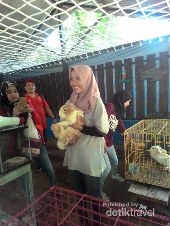 Wisata Edukasi yang Asyik di Ancol