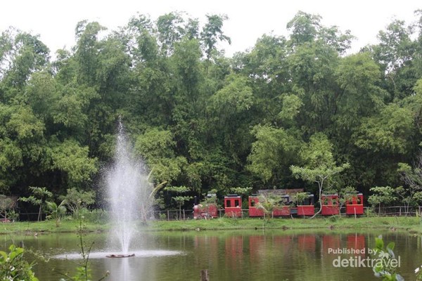 Wisata Sambil Edukasi di Taman Rusa, Aceh Besar
