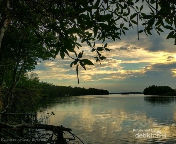 Yang Hijau-hijau di Wisata Mangrove Muara Badak