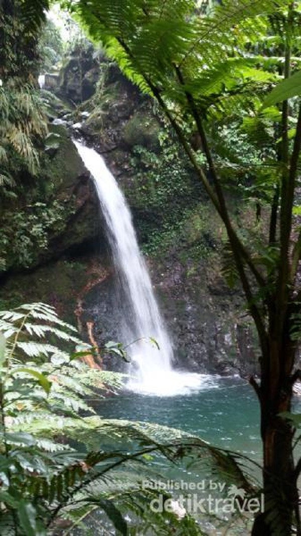 Yang Segar di Bogor, Curug Goa Lumut