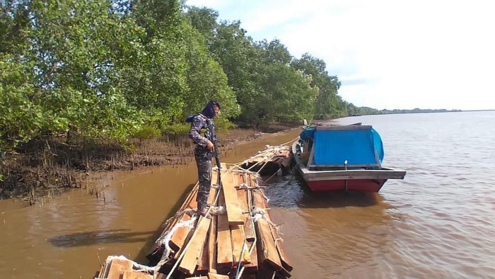 Angkut Kayu Ilegal 2 Pria Di Riau Dijerat Pasal Uu Cipta Kerja