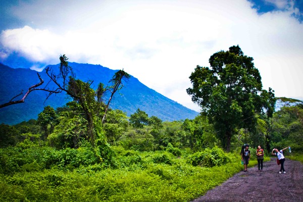Baluran, Africa Van Java