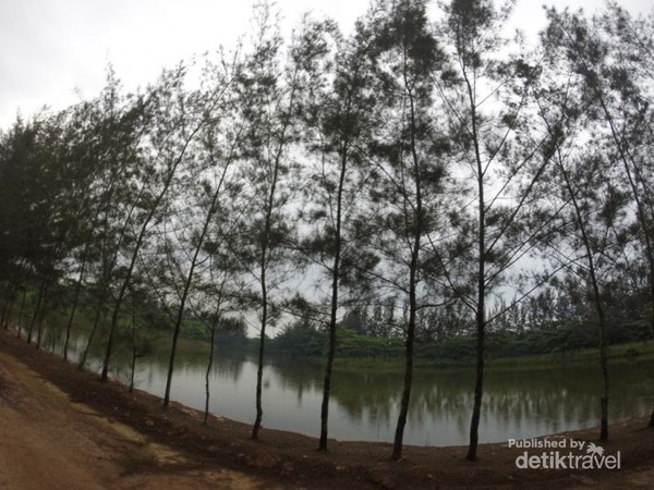 Bangka Botanical Garden, Oase di Pulau Bangka