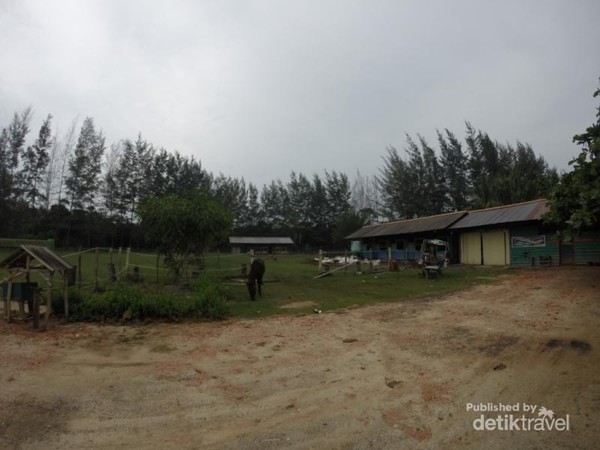 Bangka Botanical Garden, Oase di Pulau Bangka