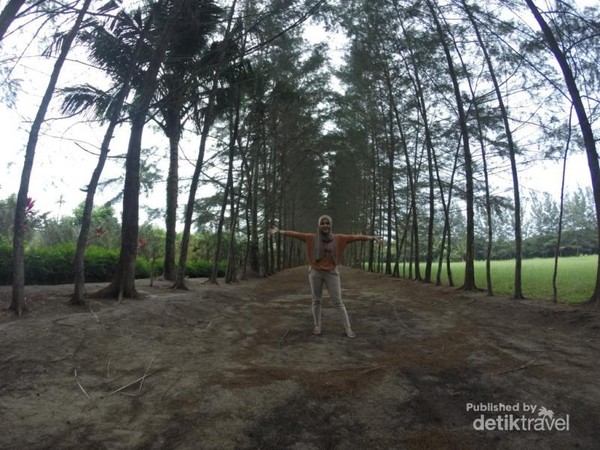 Bangka Botanical Garden, Oase di Pulau Bangka