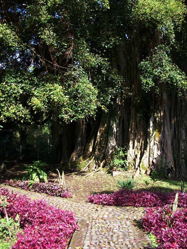 Batu Batikam dan Batu Basureh yang Terlupakan