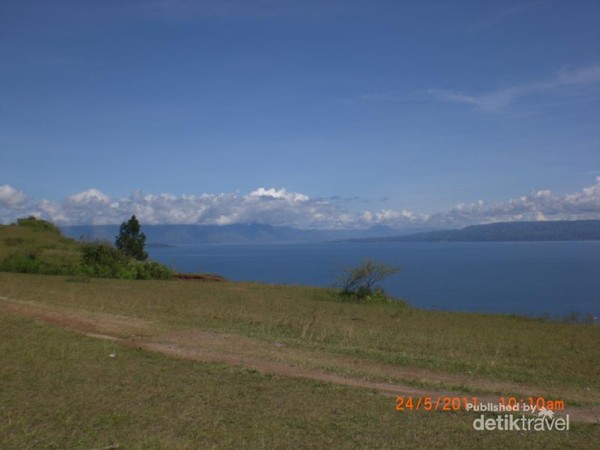 Berjuta Pohon di Tarabunga Balige, Sumatera Utara