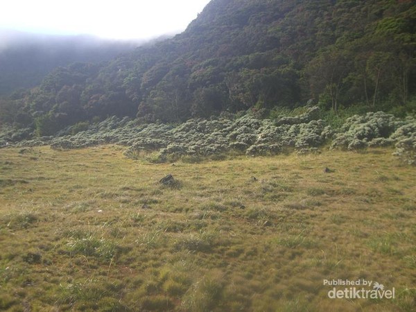 Bertemu yang Abadi di Alun-alun Surya Kencana