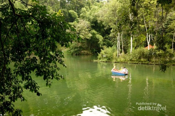 Boon Pring Andeman, yang Hijau dan Tenang di Malang