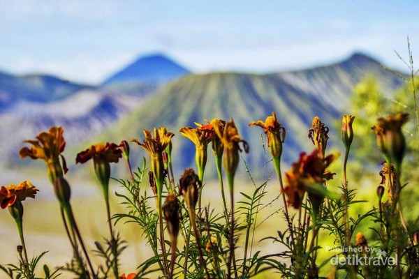 Bromo yang Indah dari Sisi Manapun