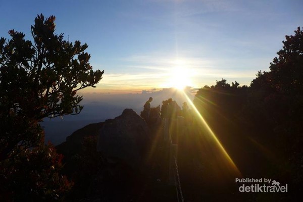 Cantiknya Pemandangan di Gunung Gede