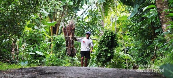 Curug Nangga di Banyumas, Air Terjun 7 Tingkat Nan Memikat