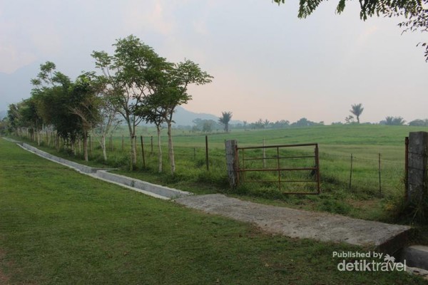Foto: Pemandangan Hijau dari Tanah Minang