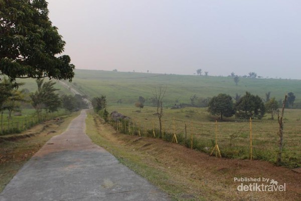 Foto: Pemandangan Hijau dari Tanah Minang