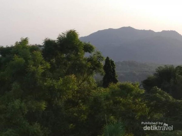 Foto: Selamat Pagi dari Gunung Wilis
