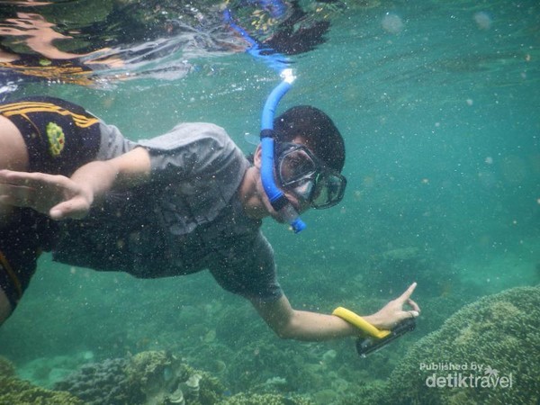 Ini 2 Tempat Snorkeling Asyik di Lampung