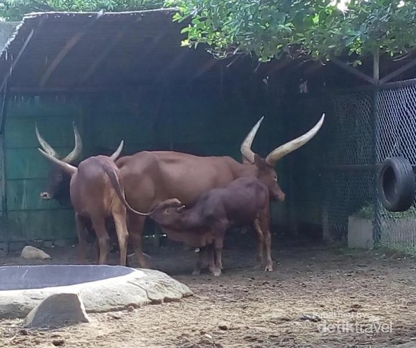 Ini Tempat Wisata Edukasi di Batang