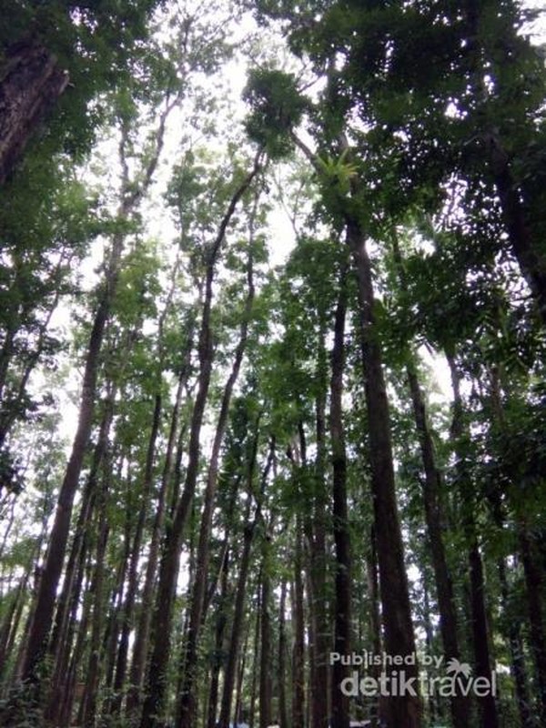 Keindahan Aik Nyet di Lombok yang Jarang Orang Tahu