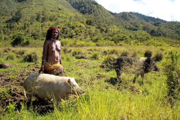 Keluarga, Ladang, dan Perang Bagi Kehidupan Perempuan Ini