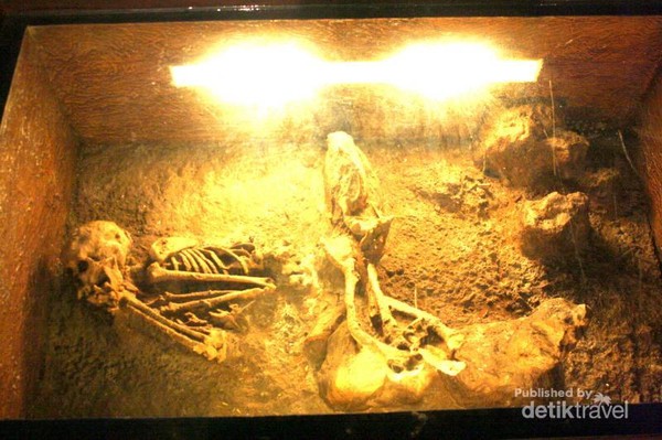 Kerangka Manusia Purba di Museum Nasional, Jakarta