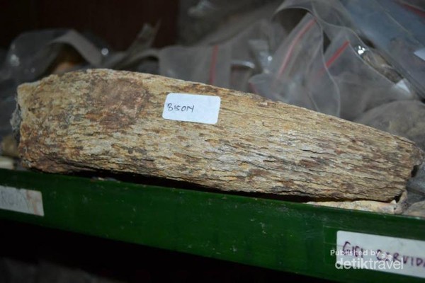 Keren! Ada Situs Manusia Purba di Tegal