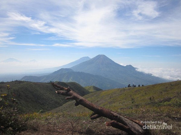 Bukit Teletubbies Gunung Prau - Perumperindo.co.id