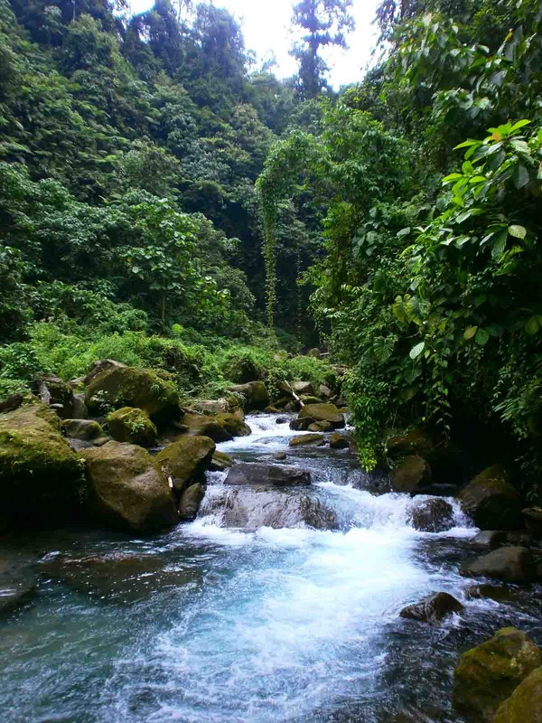 Lau Berte, Surga Tersembunyi dari Sumatera Utara